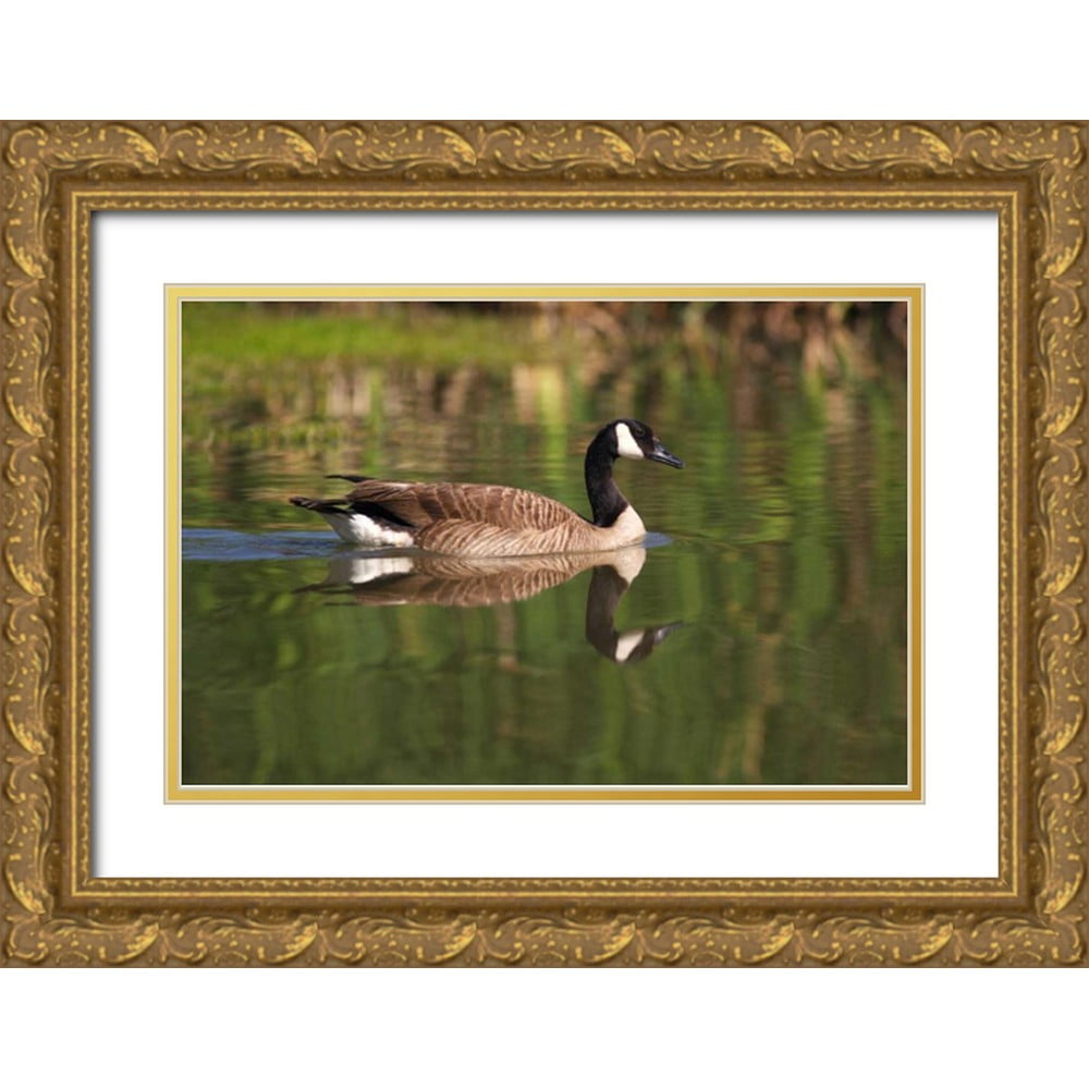 Talbot Frank, Christopher 14x11 Gold Ornate Wood Framed with Double ...