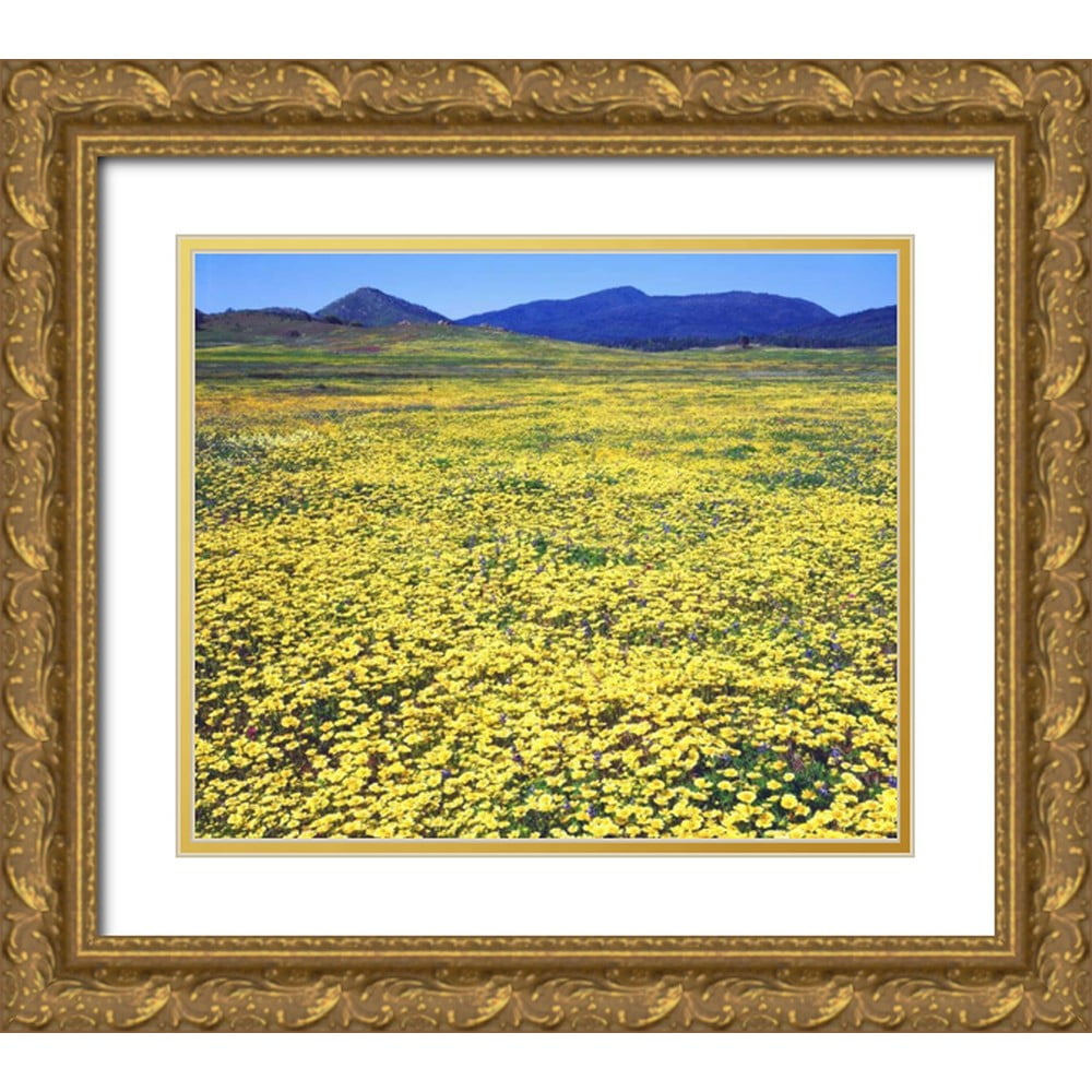 Talbot Frank, Christopher 14x12 Gold Ornate Wood Framed with Double ...