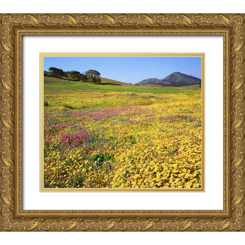 Talbot Frank, Christopher 14x12 Gold Ornate Wood Framed with Double ...