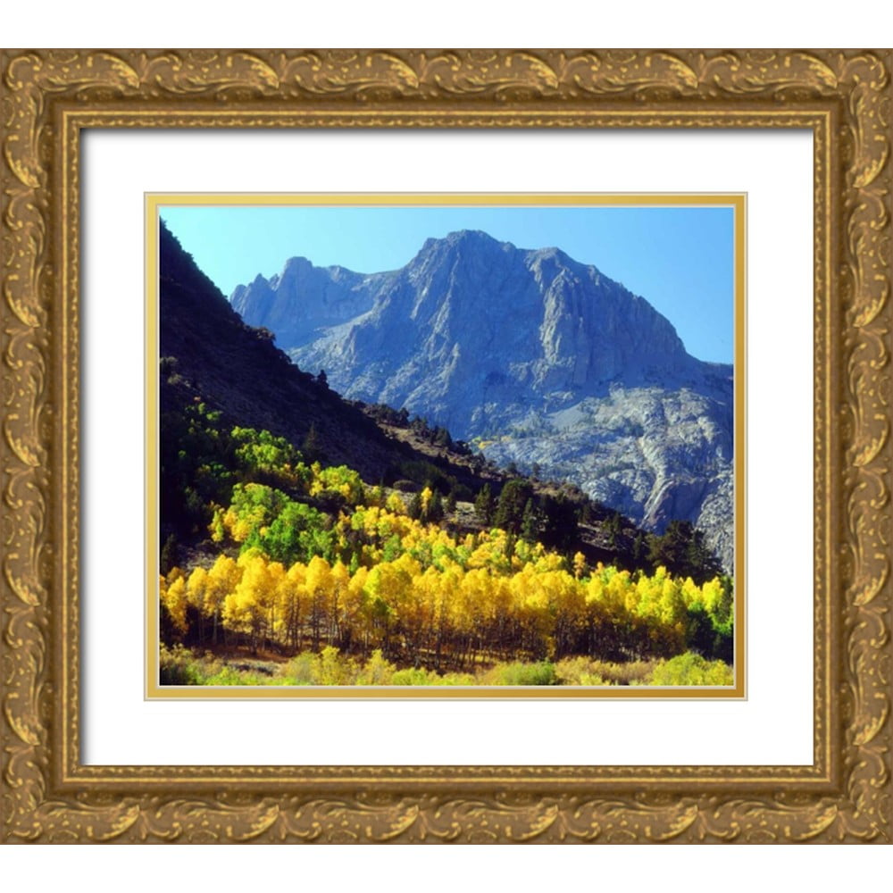 Talbot Frank, Christopher 14x12 Gold Ornate Wood Framed with Double ...