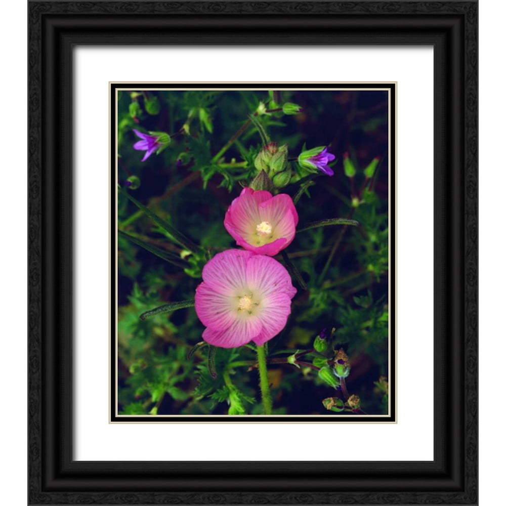 Talbot Frank, Christopher 15x17 Black Ornate Wood Framed with Double ...