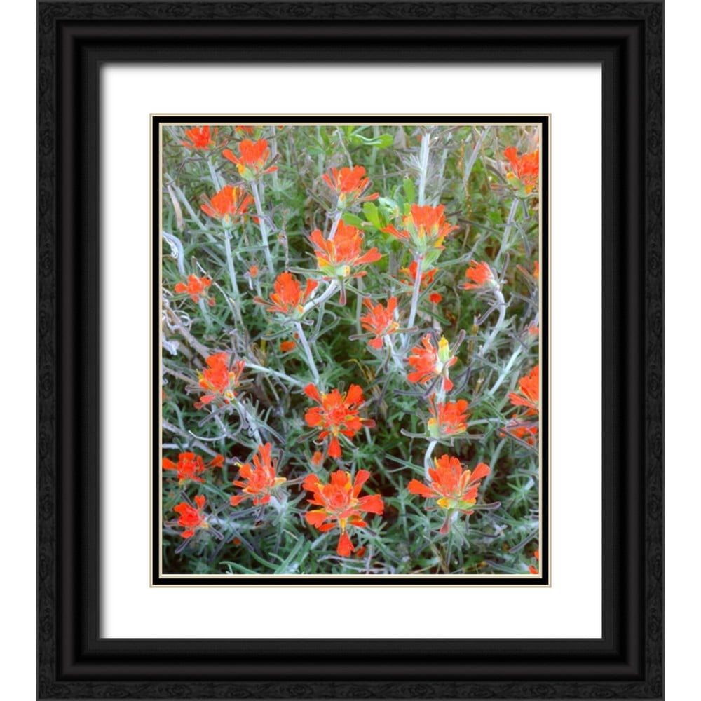 Talbot Frank, Christopher 15x17 Black Ornate Wood Framed with Double ...