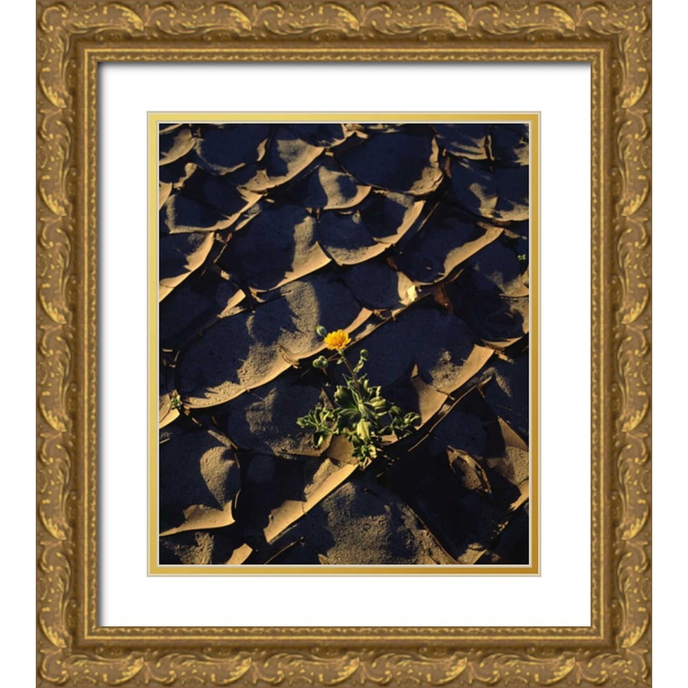 Talbot Frank, Christopher 15x17 Gold Ornate Wood Framed with Double ...