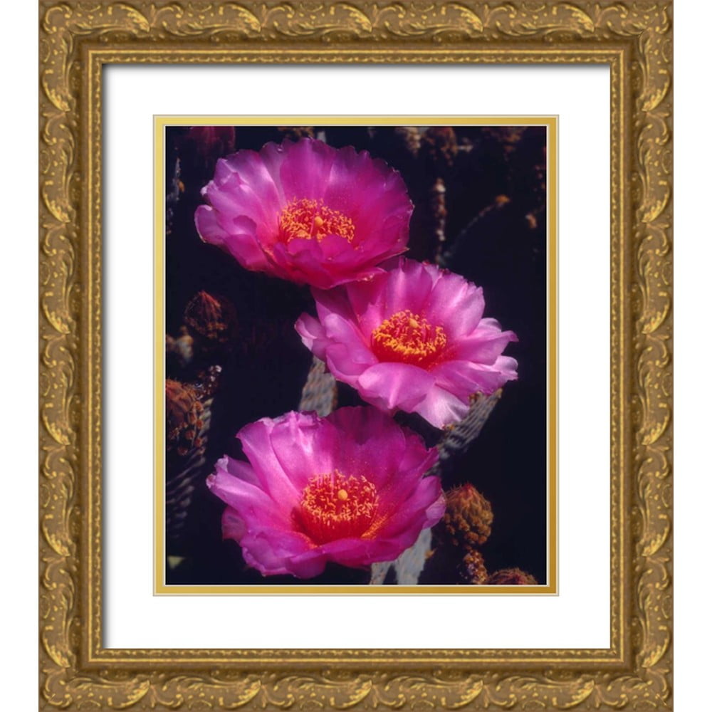 Talbot Frank, Christopher 15x17 Gold Ornate Wood Framed with Double ...