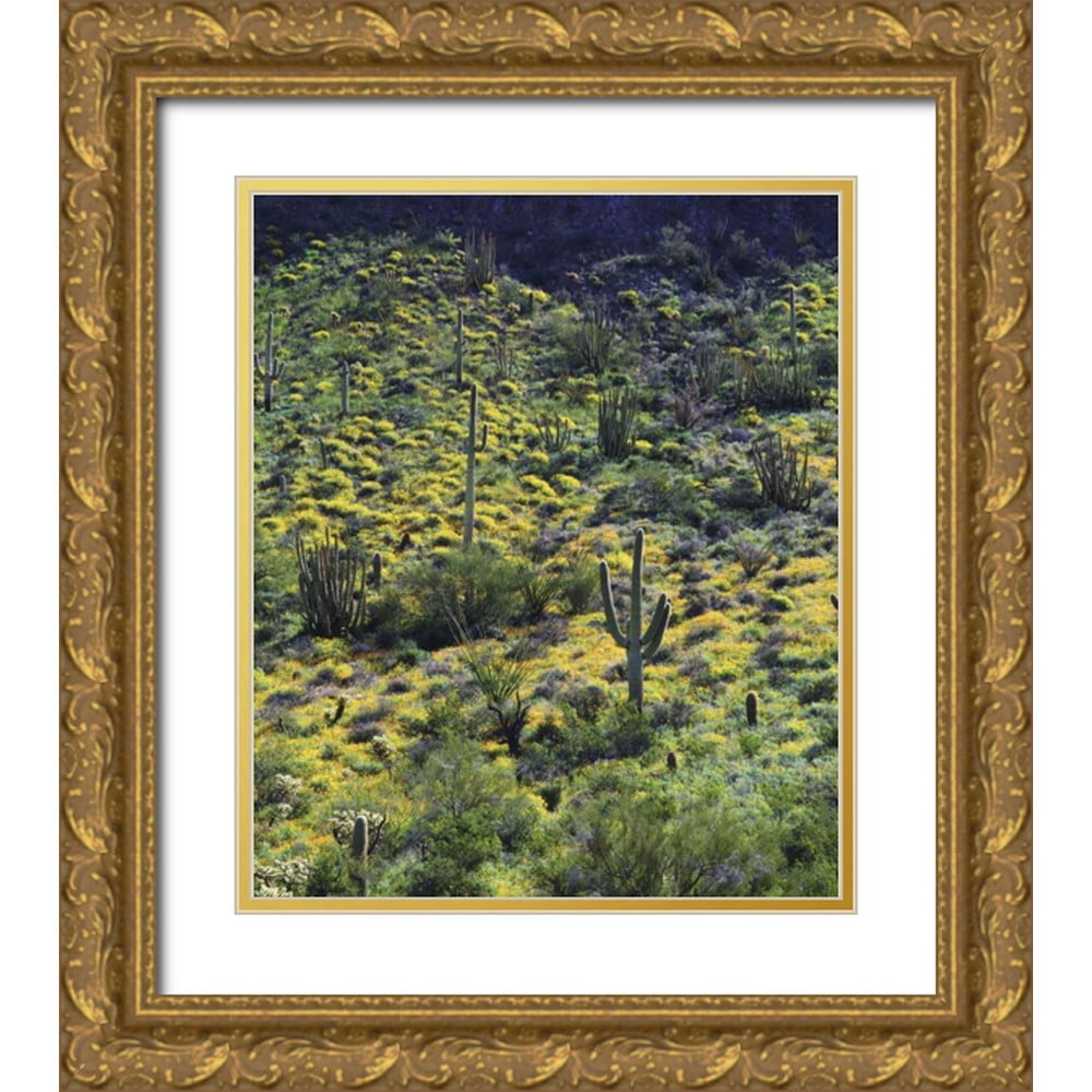 Talbot Frank, Christopher 15x17 Gold Ornate Wood Framed with Double Matting Museum Art Print ...