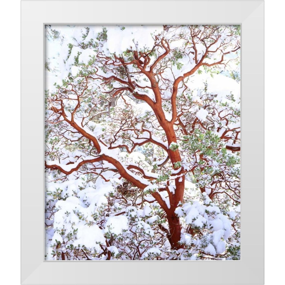 Talbot Frank, Christopher 15x17 White Modern Wood Framed Museum Art ...