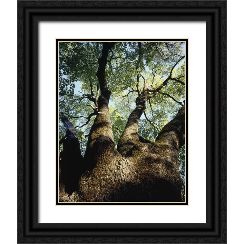 Talbot Frank, Christopher 15x18 Black Ornate Wood Framed with Double ...