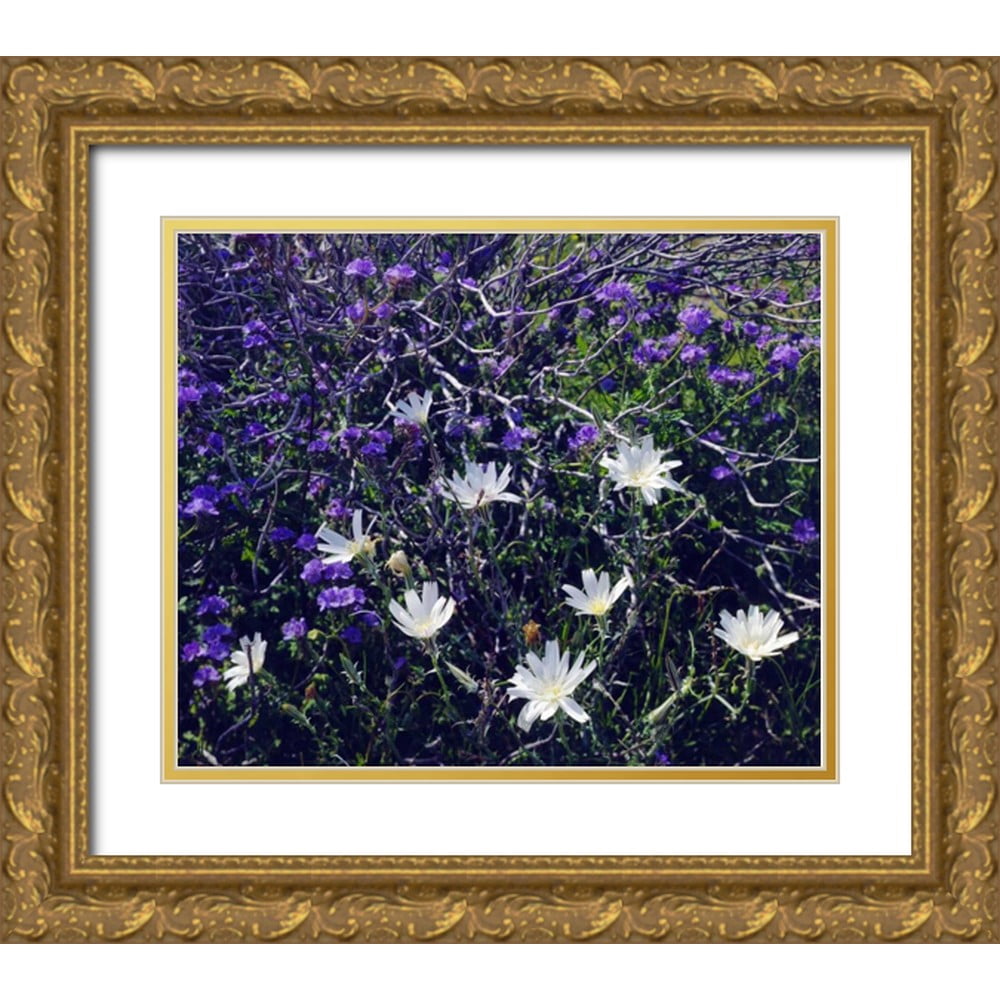 Talbot Frank, Christopher 17x15 Gold Ornate Wood Framed with Double ...