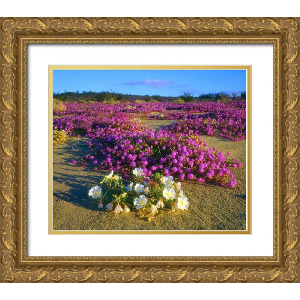 Talbot Frank, Christopher 17x15 Gold Ornate Wood Framed with Double ...