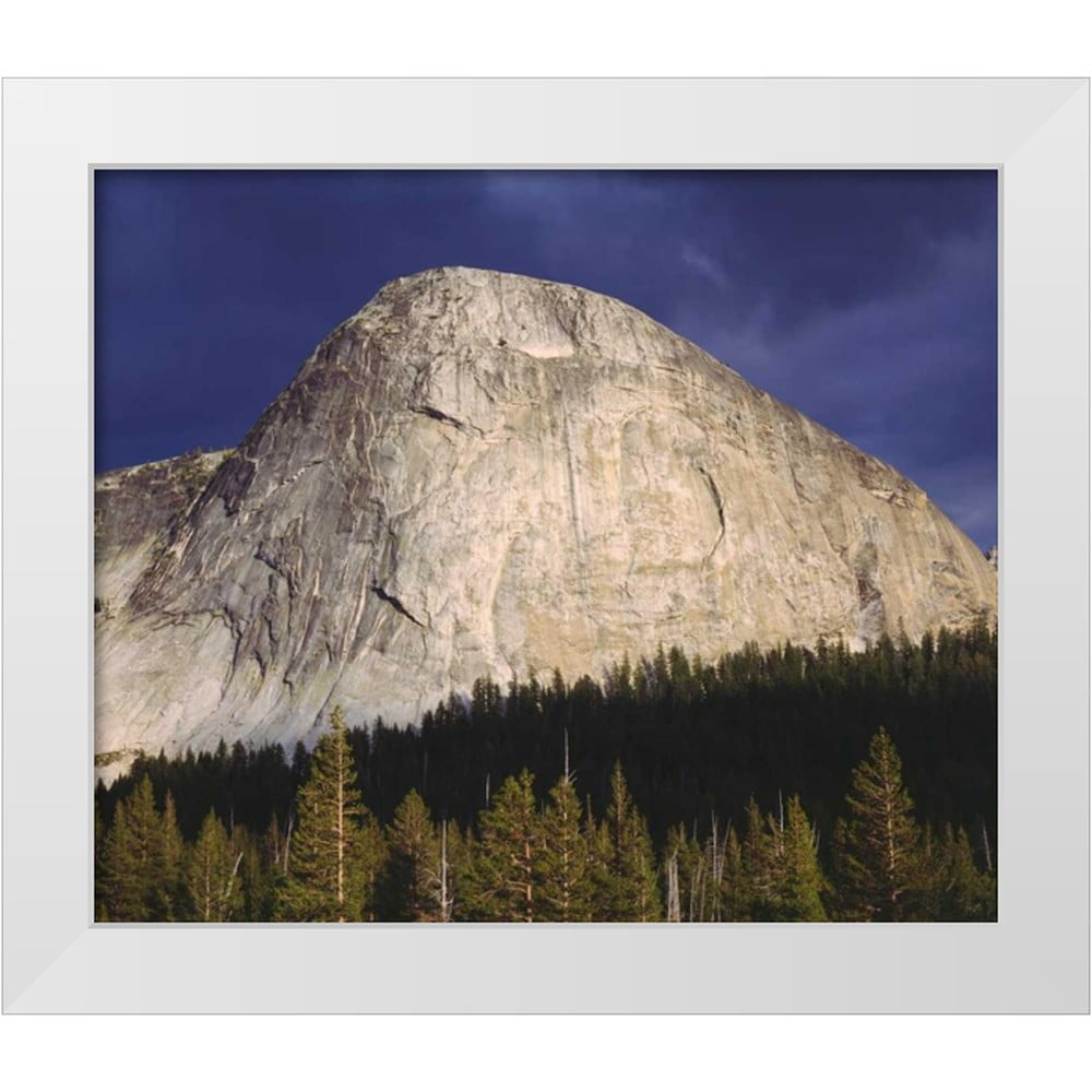 Talbot Frank, Christopher 17x15 White Modern Wood Framed Museum Art ...