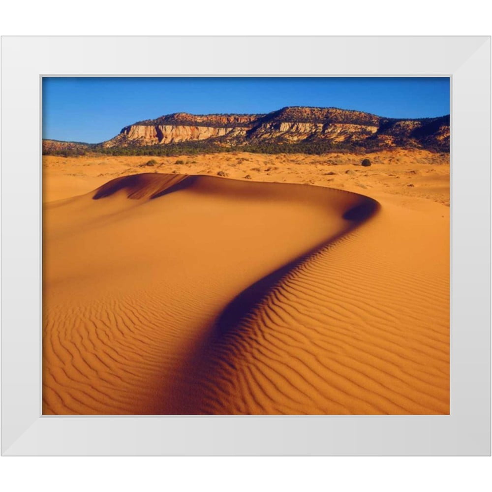 Talbot Frank, Christopher 17x15 White Modern Wood Framed Museum Art ...