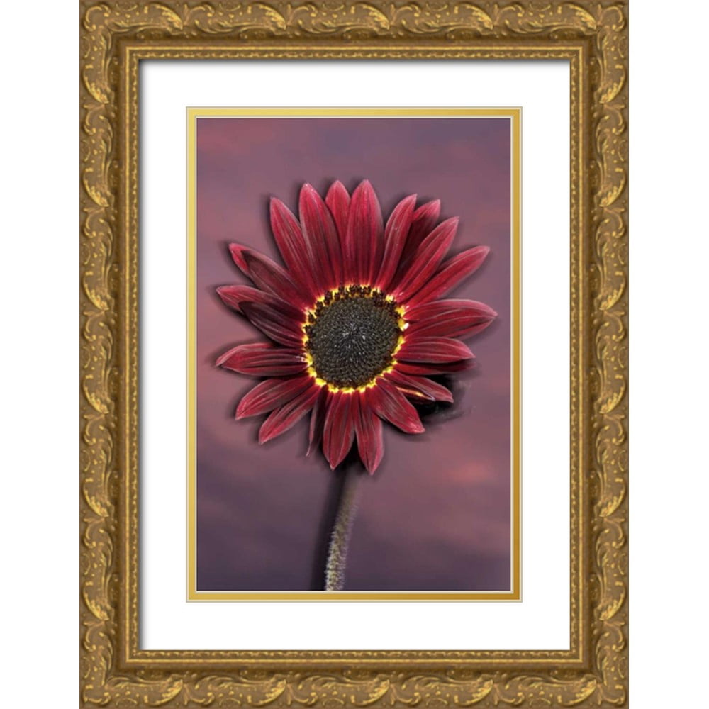 Talbot Frank, Christopher 17x24 Gold Ornate Wood Framed with Double ...