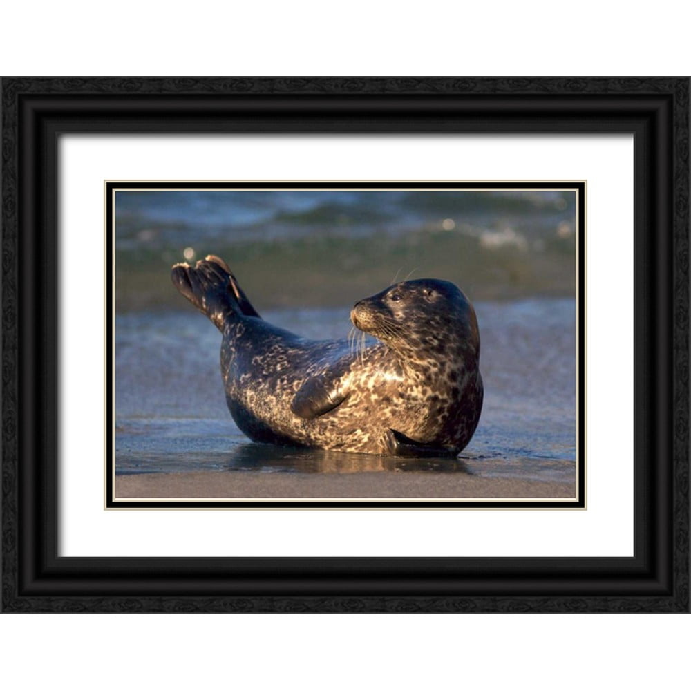 Talbot Frank, Christopher 18x13 Black Ornate Wood Framed with Double ...