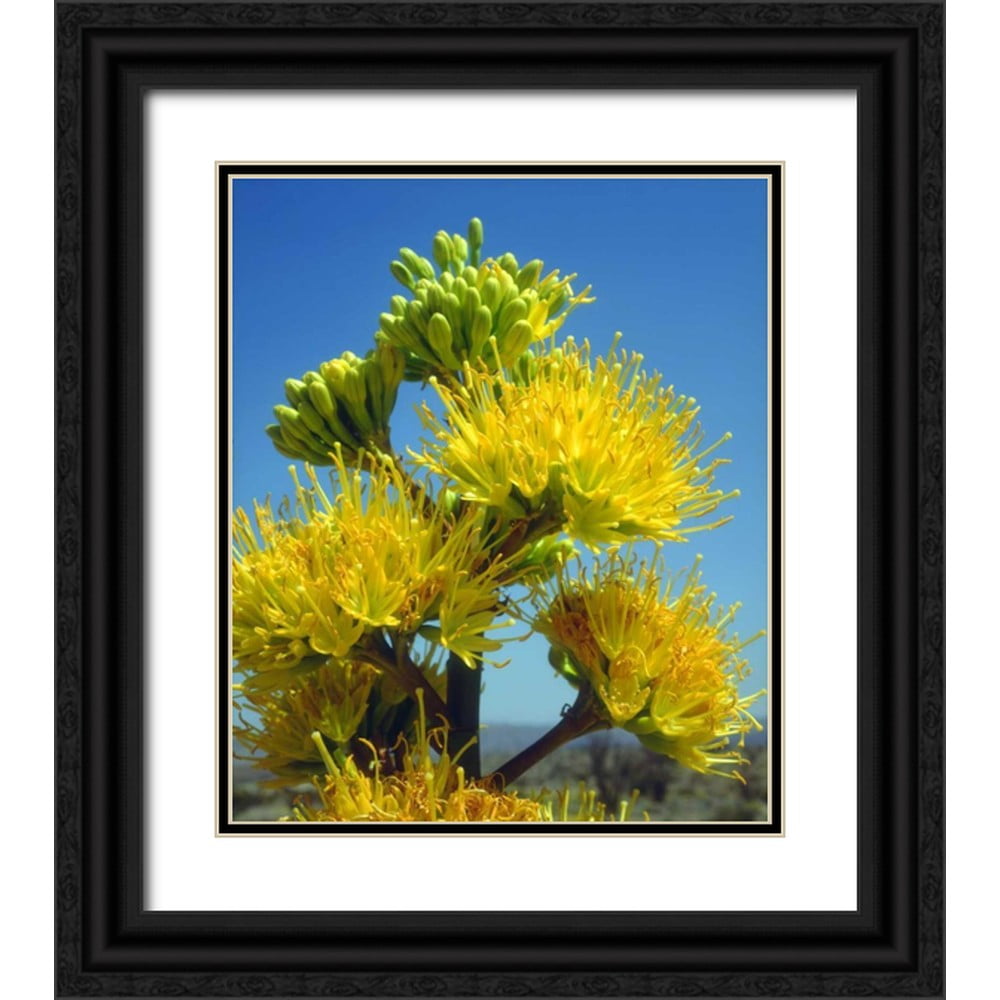 Talbot Frank, Christopher 20x23 Black Ornate Wood Framed with Double Matting Museum Art Print ...