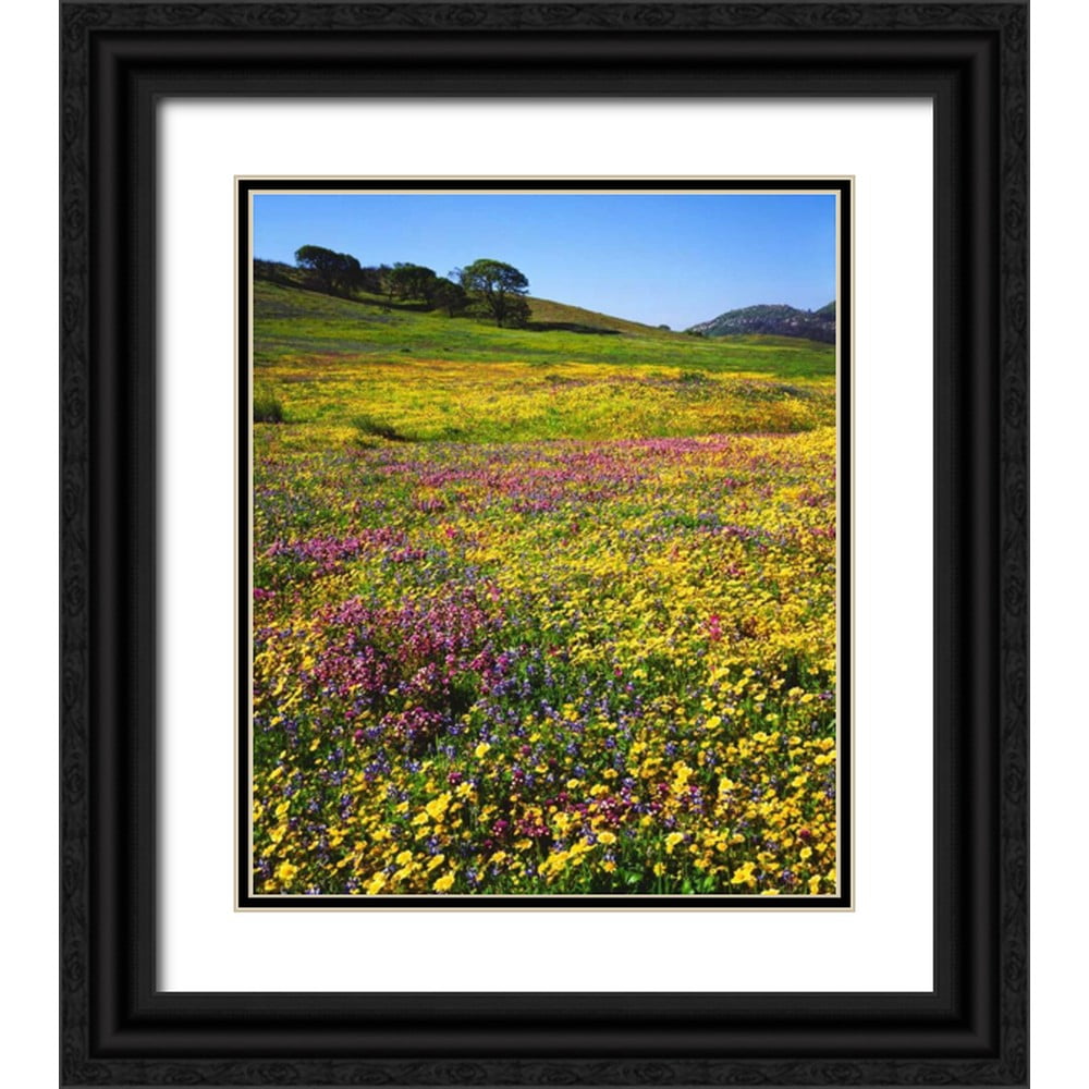 Talbot Frank, Christopher 20x23 Black Ornate Wood Framed with Double ...