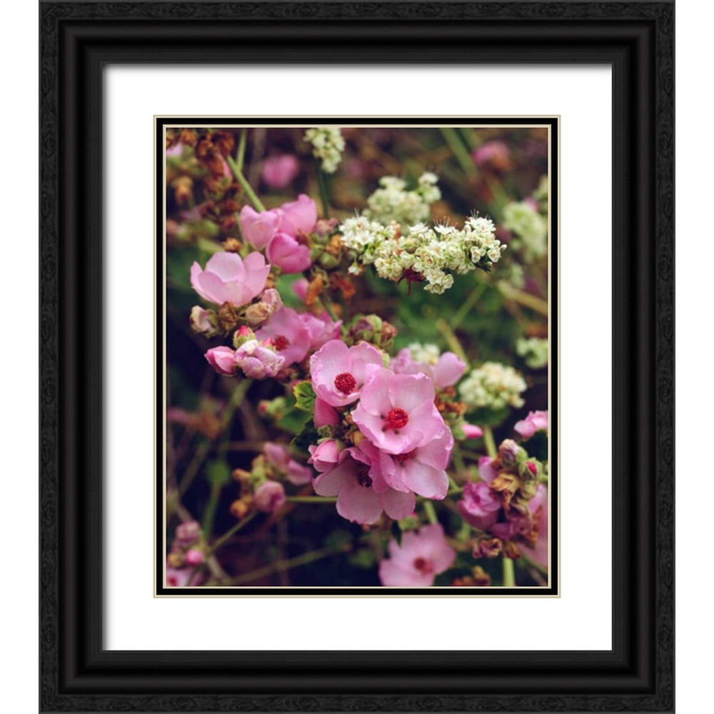 Talbot Frank, Christopher 20x23 Black Ornate Wood Framed with Double ...