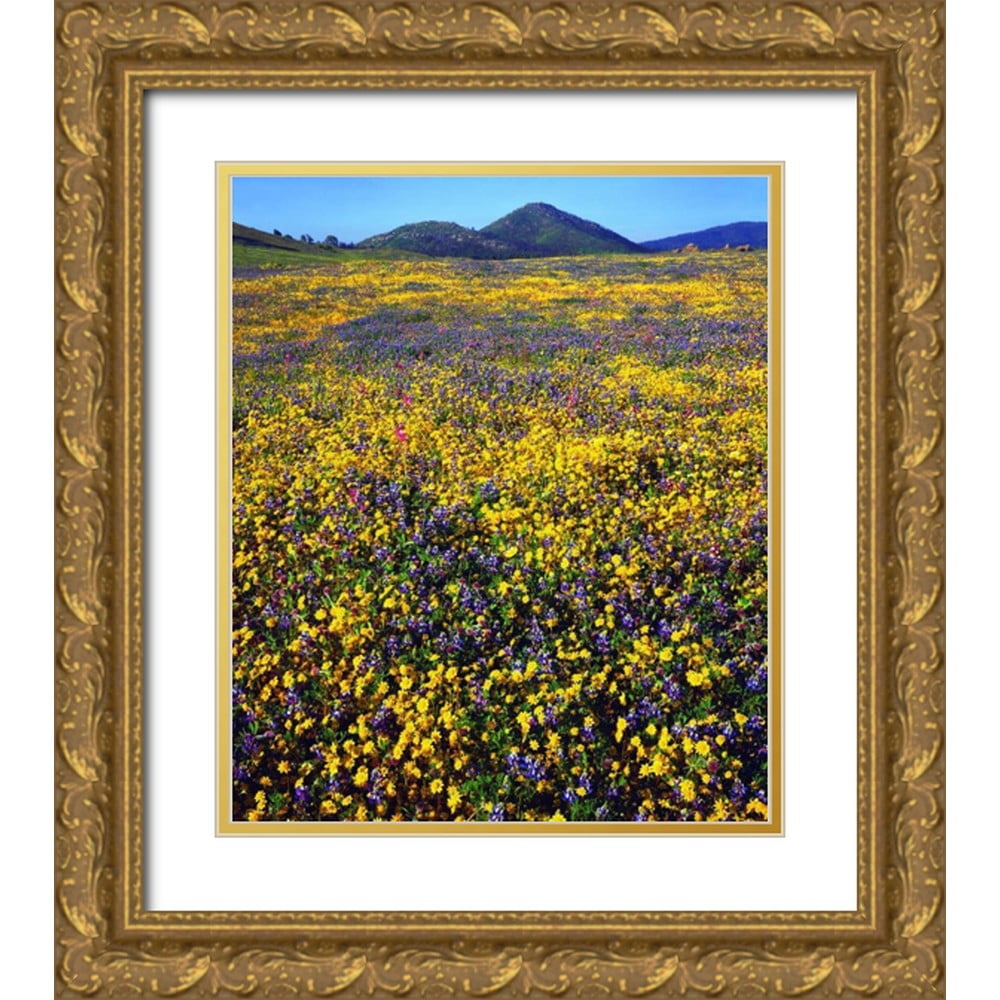 Talbot Frank, Christopher 20x23 Gold Ornate Wood Framed with Double ...