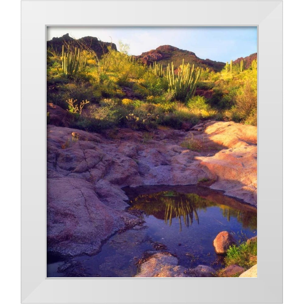 Talbot Frank, Christopher 20x23 White Modern Wood Framed Museum Art ...