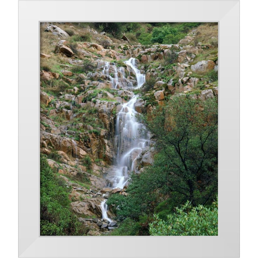 Talbot Frank, Christopher 20x23 White Modern Wood Framed Museum Art ...