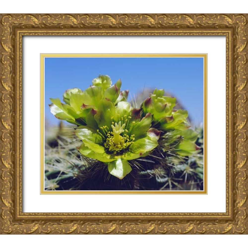 Talbot Frank, Christopher 23x20 Gold Ornate Wood Framed with Double ...