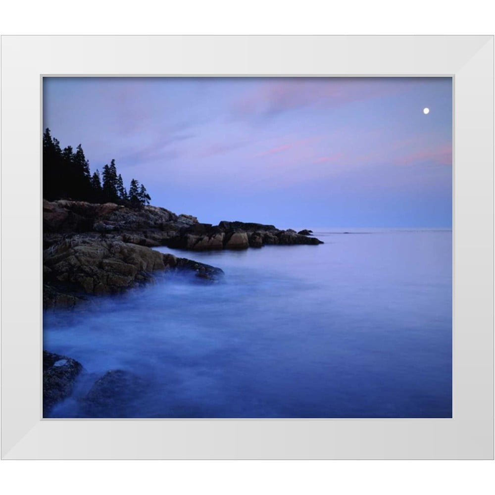 Talbot Frank, Christopher 23x20 White Modern Wood Framed Museum Art ...