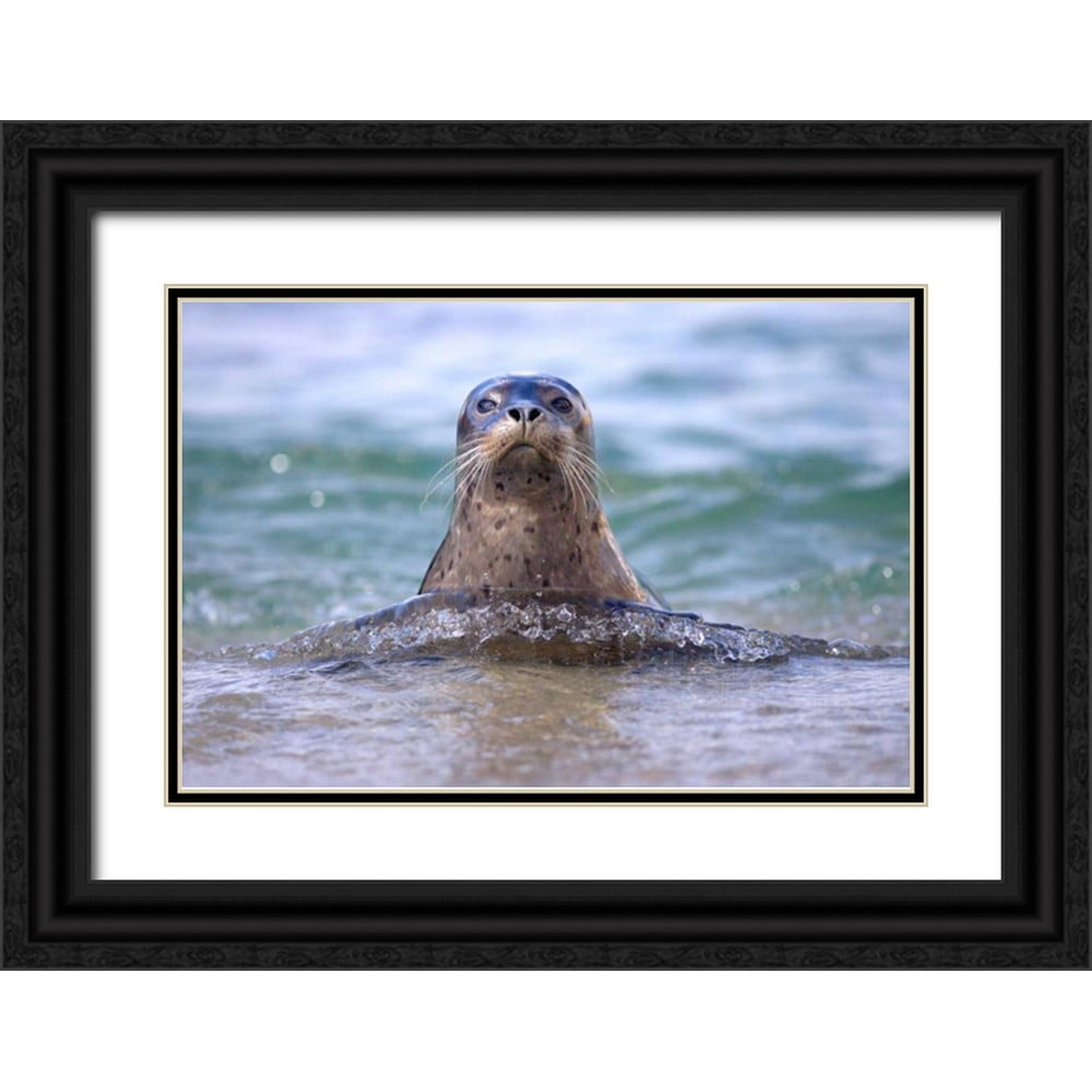 Talbot Frank, Christopher 24x17 Black Ornate Wood Framed with Double ...