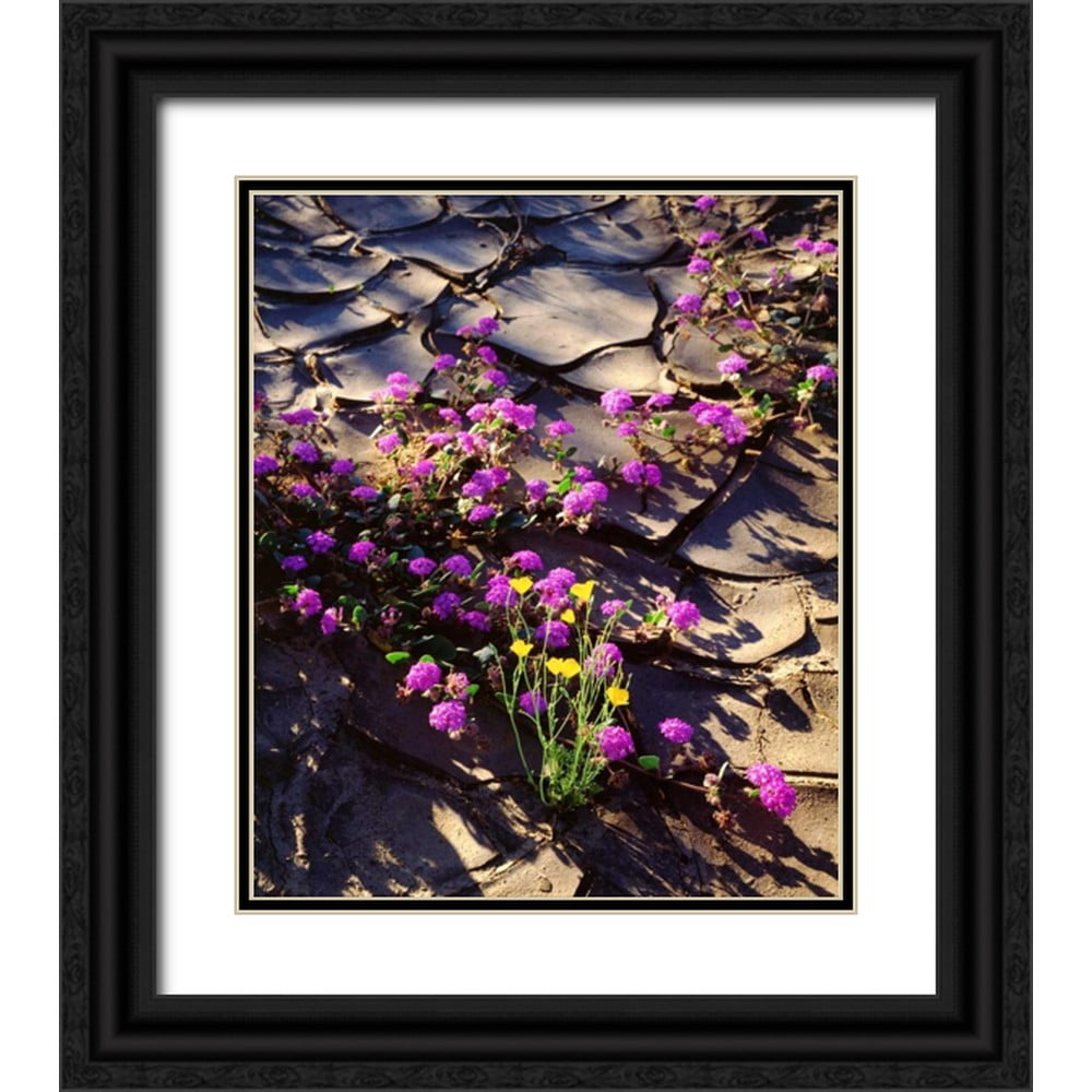 Talbot Frank, Christopher 26x30 Black Ornate Wood Framed with Double ...