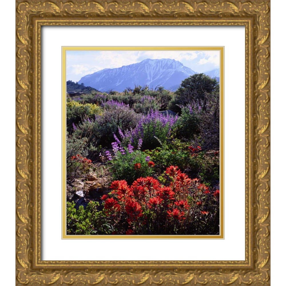 Talbot Frank, Christopher 26x30 Gold Ornate Wood Framed with Double ...