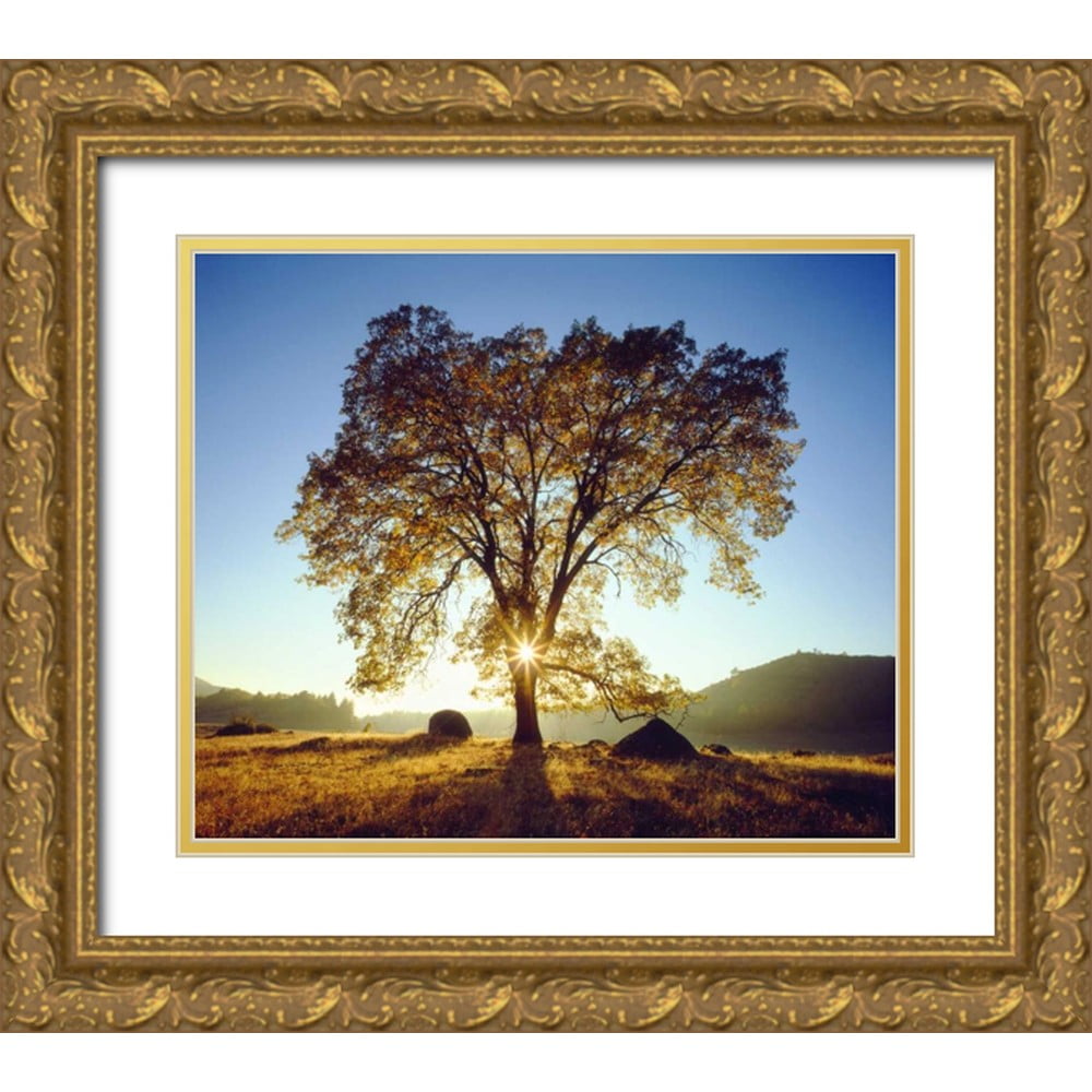 Talbot Frank, Christopher 30x26 Gold Ornate Wood Framed with Double ...