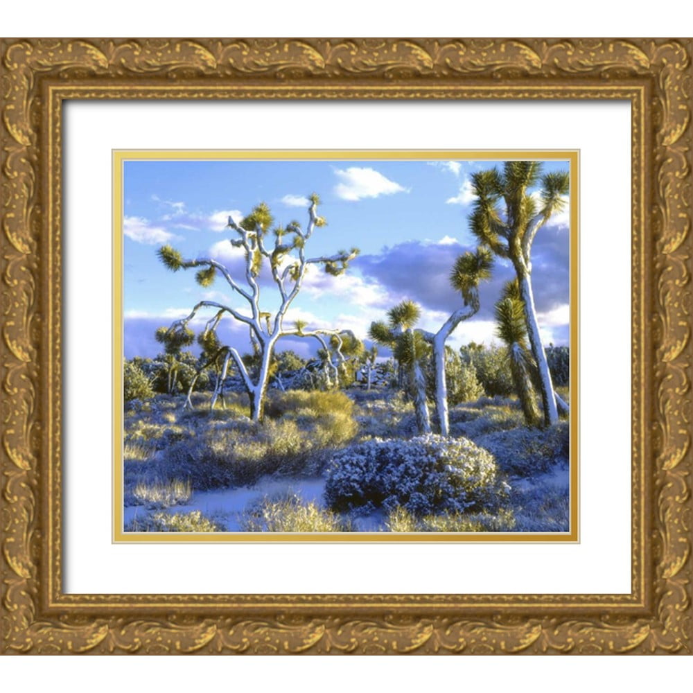 Talbot Frank, Christopher 30x26 Gold Ornate Wood Framed with Double ...