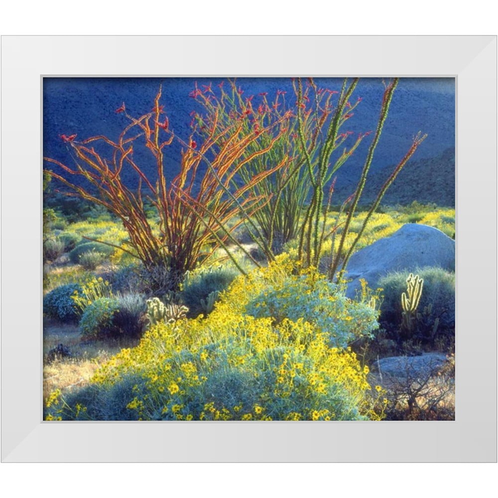 Talbot Frank, Christopher 30x26 White Modern Wood Framed Museum Art ...