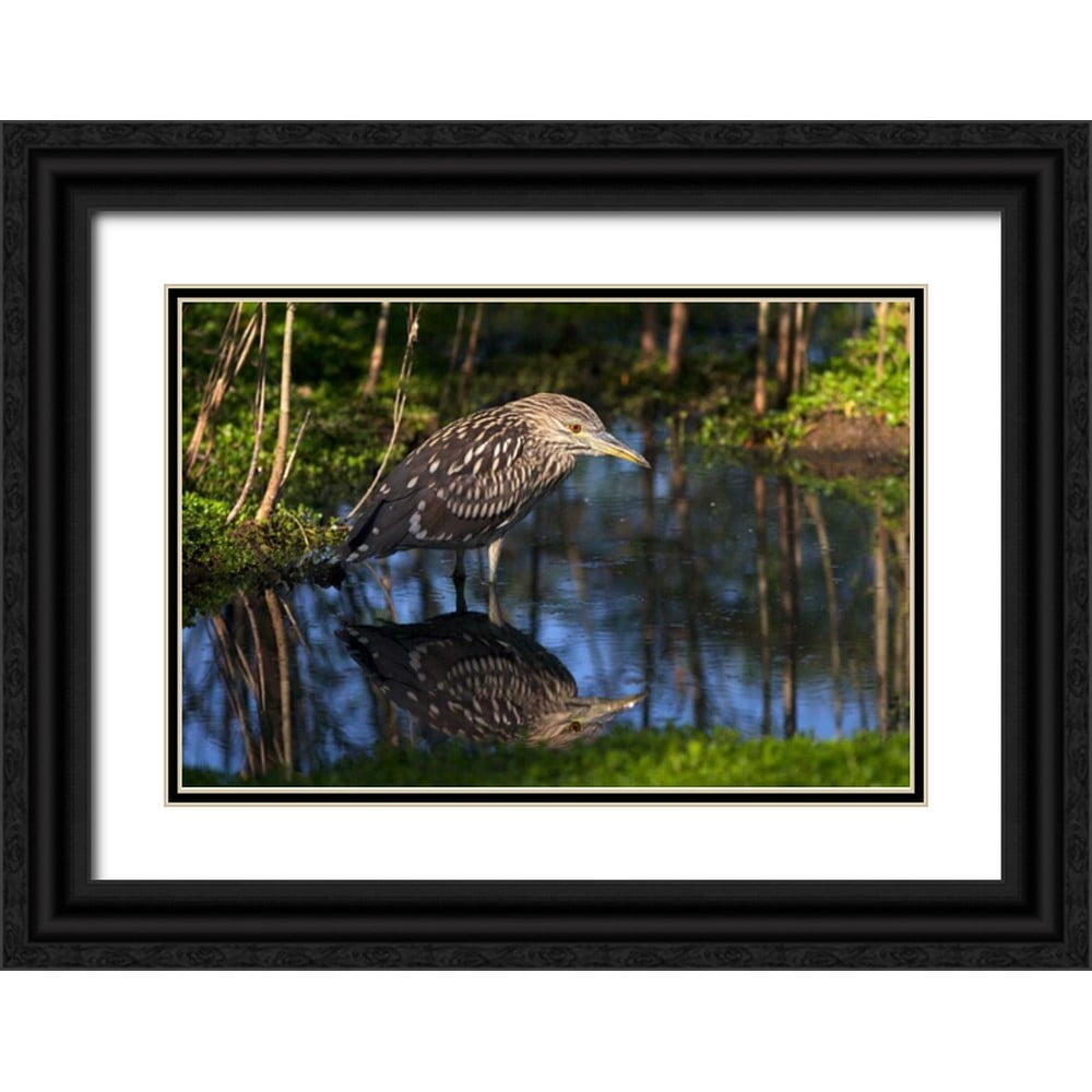 Talbot Frank, Christopher 32x23 Black Ornate Wood Framed with Double ...