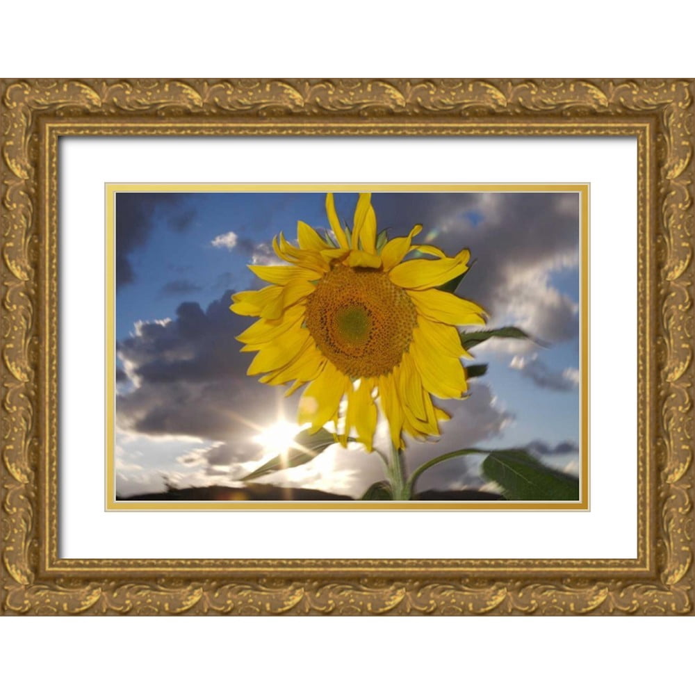 Talbot Frank, Christopher 32x23 Gold Ornate Wood Framed with Double ...