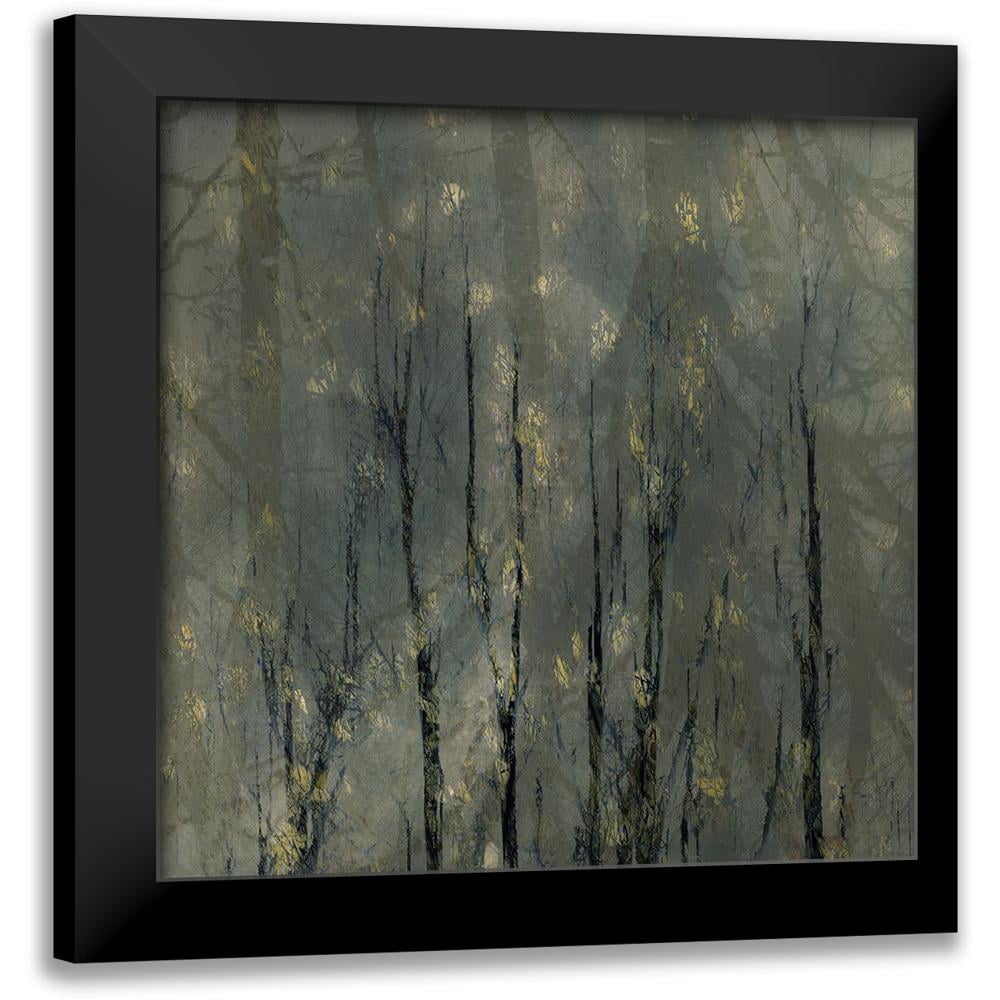 Talen, Nel 20x20 Black Modern Framed Museum Art Print Titled - Bald ...