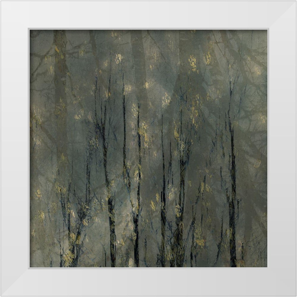 Talen, Nel 20x20 White Modern Wood Framed Museum Art Print Titled ...
