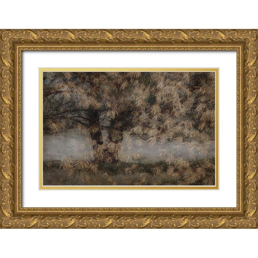 Talen, Nel 24x17 Gold Ornate Wood Framed with Double Matting Museum Art Print Titled - Pine Tree ...