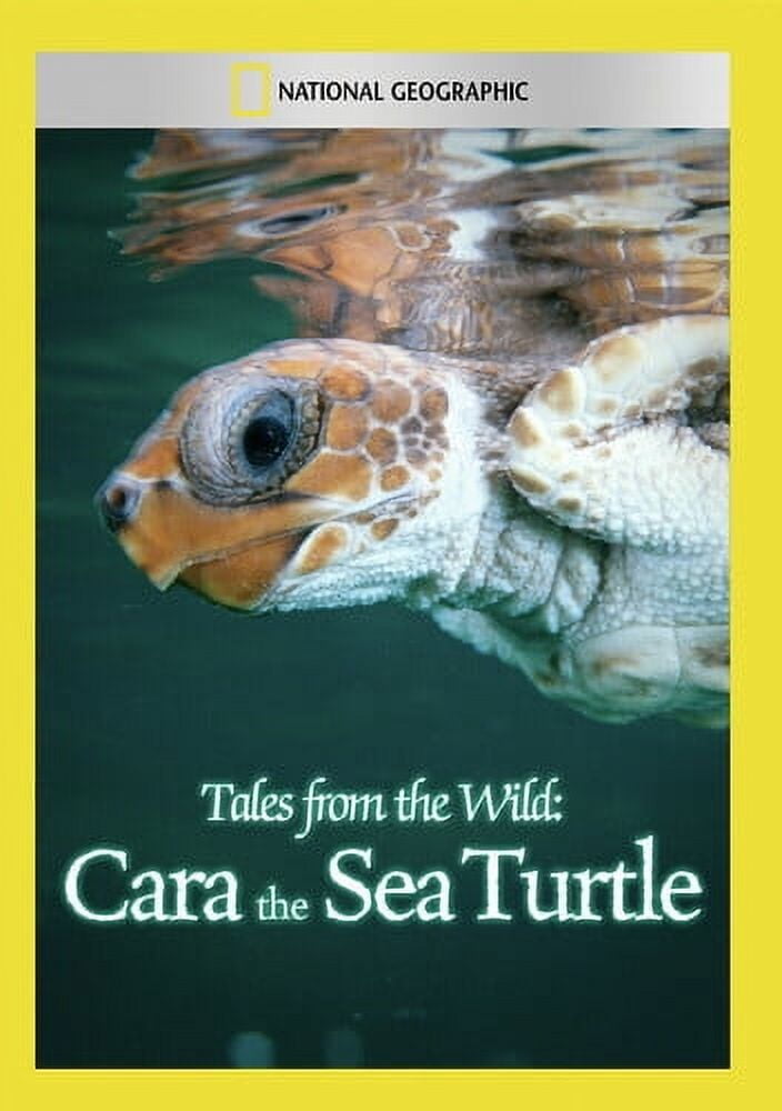 Tales From the Wild: Cara the Sea Turtle (DVD), National Geographic ...