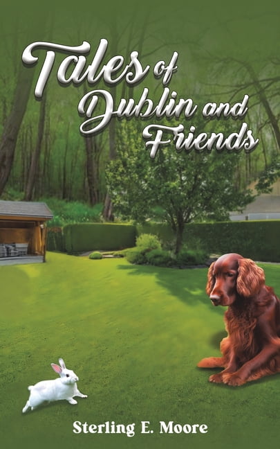 Tales of Dublin and Friends, (Paperback) - Walmart.com