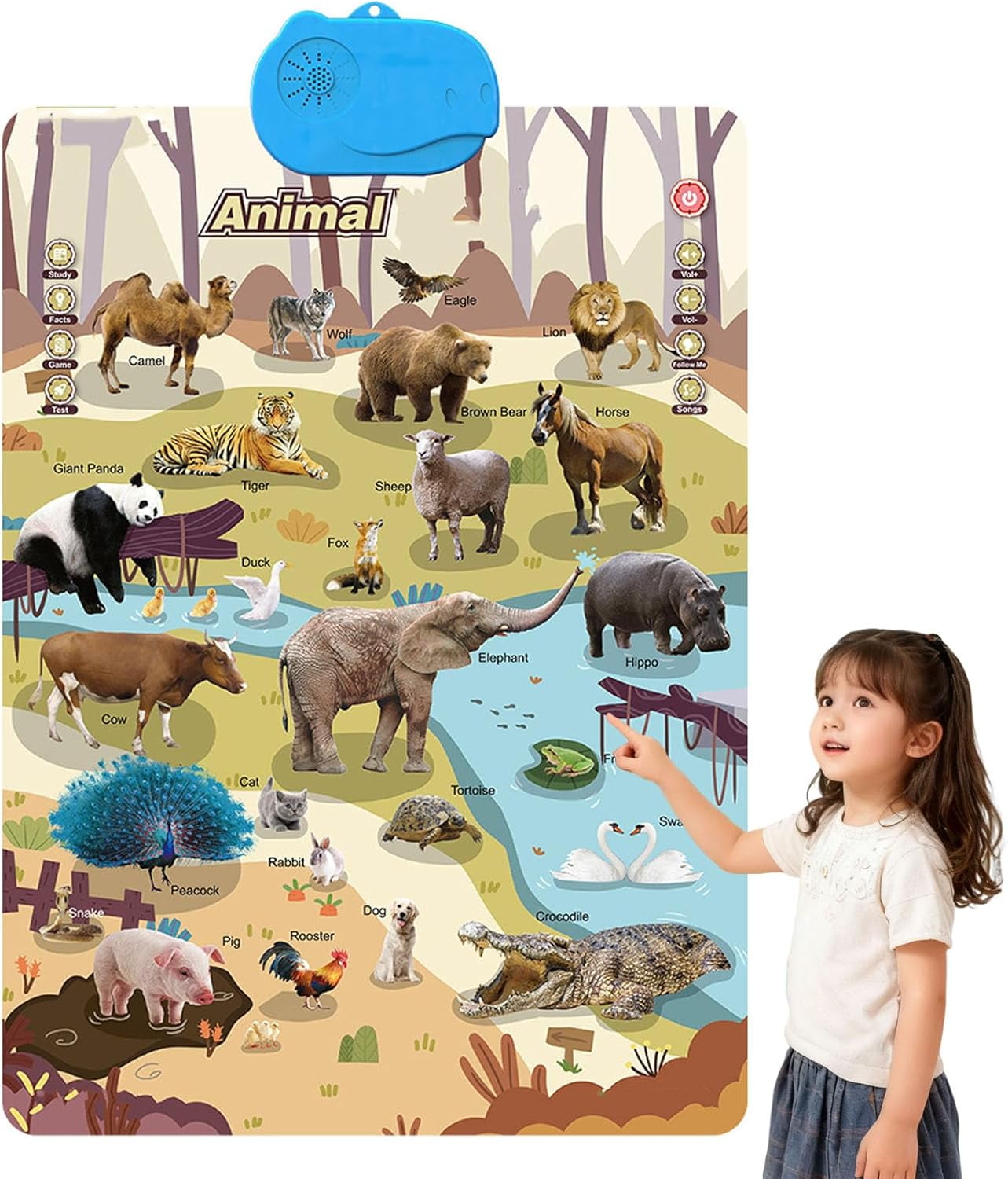Talking Wall Chart for Kids, Bilingual English and Spanish Learning ...