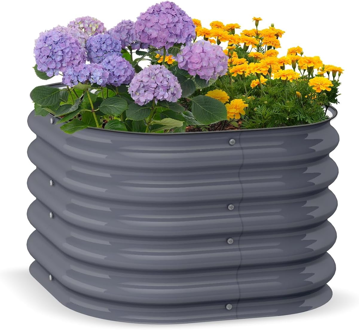 Tall 2x2ft Galvanized Raised Garden Bed Kit, 4 in 1 Large Oval Outdoor ...