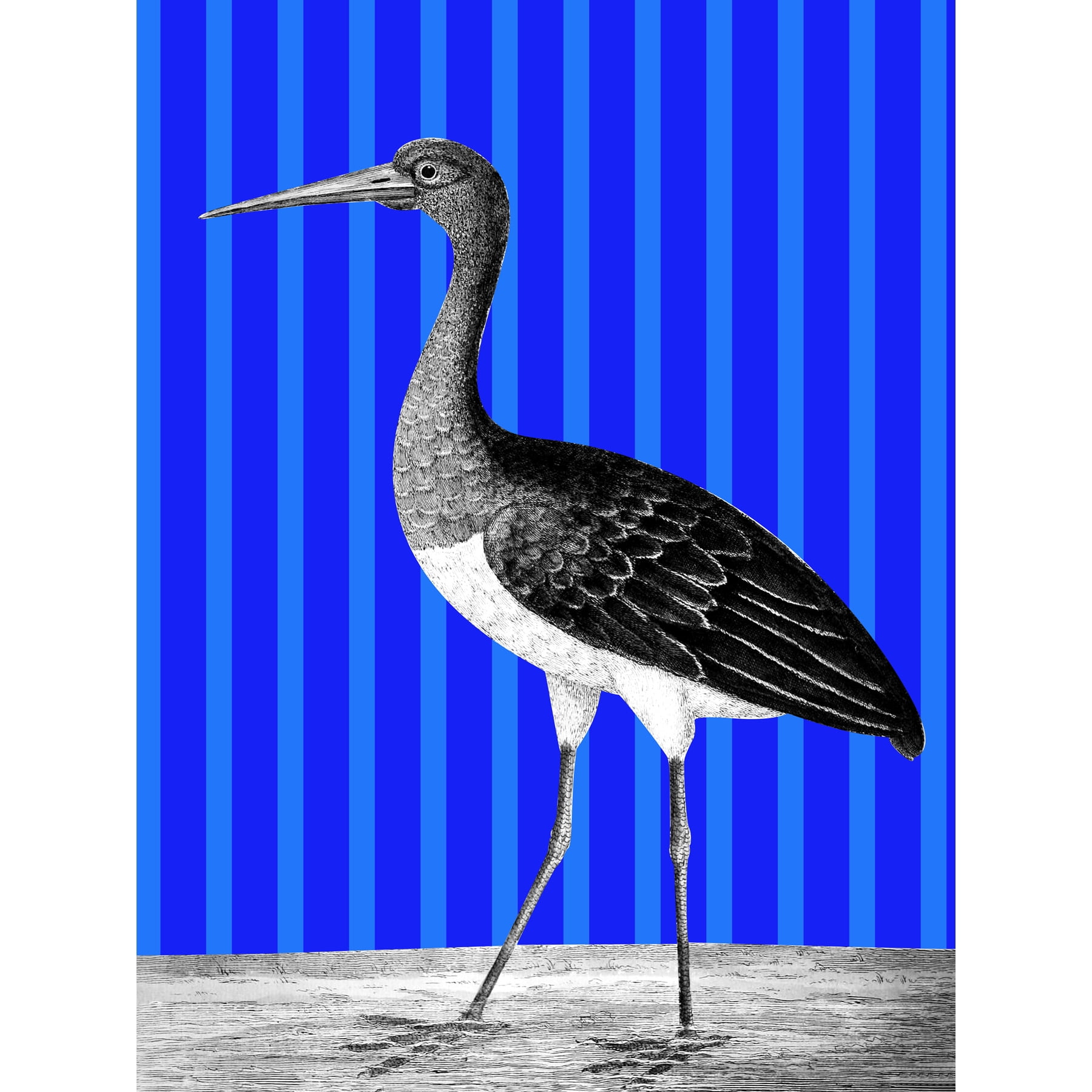 Tall Birds On Stripes Black Stork Blue Extra Large XL Wall Art Poster ...
