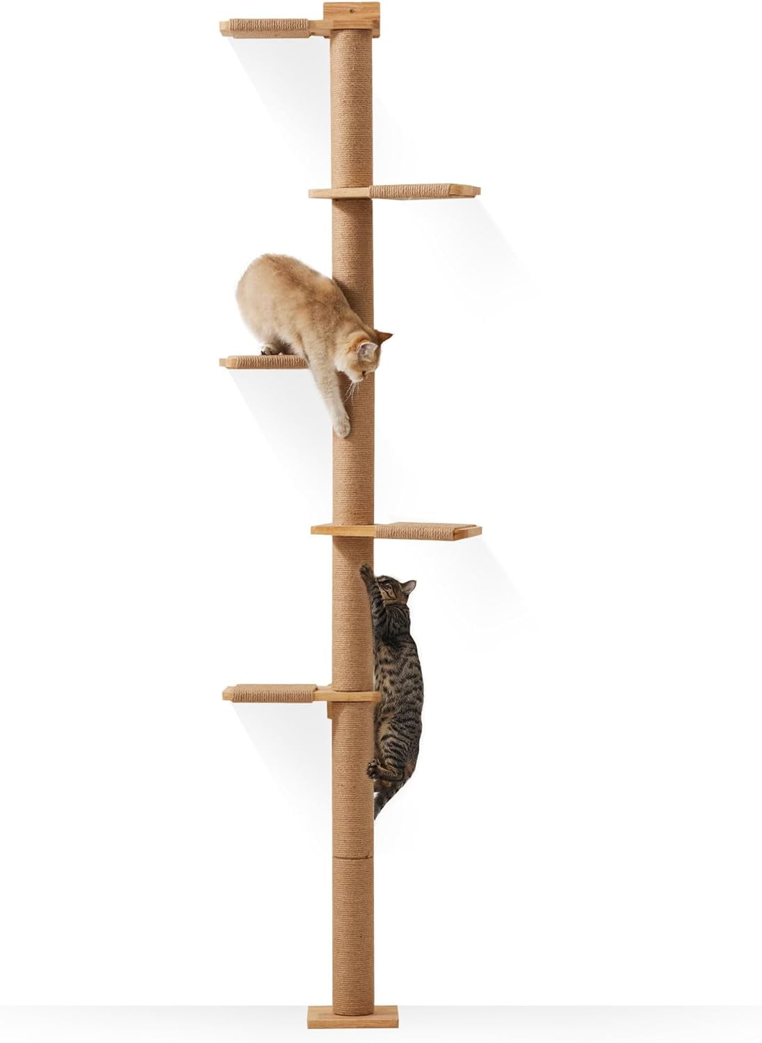 Tall Cat Tree, 5 Tier Floor to Ceiling Cats Tower, Wall-Mounted Kitten ...
