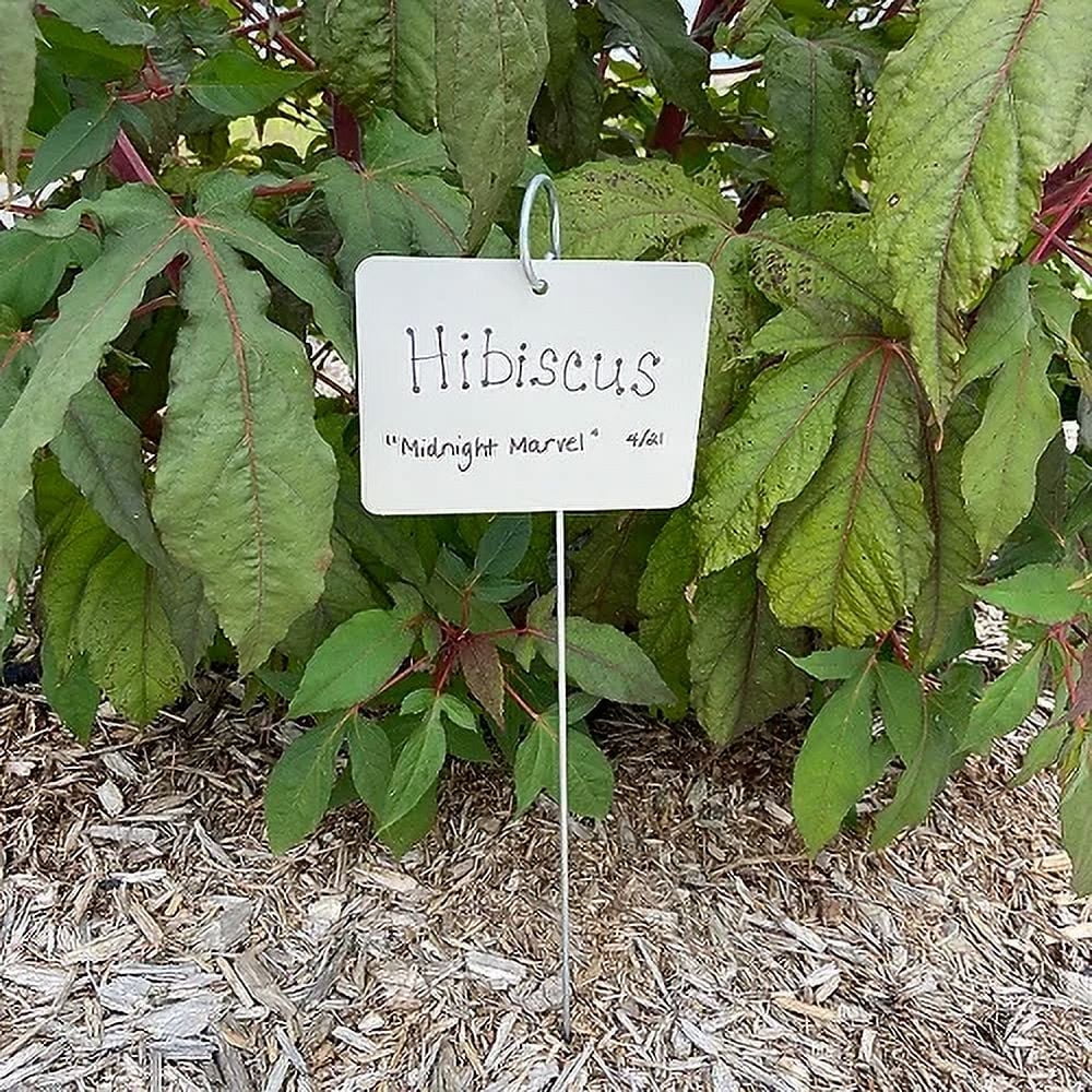 Tall Extra Large Garden Marker Plant Label, Free shipping, Made in USA ...