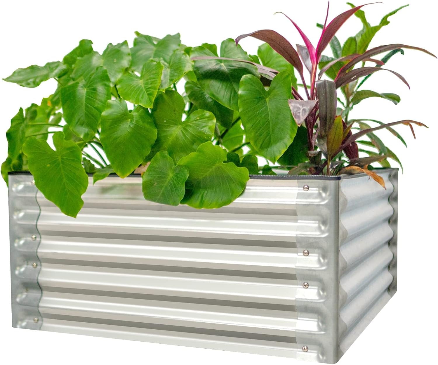 Tall Galvanized Raised Garden Bed, 3ftx3ft Metal Raised Garden Bed Kit ...