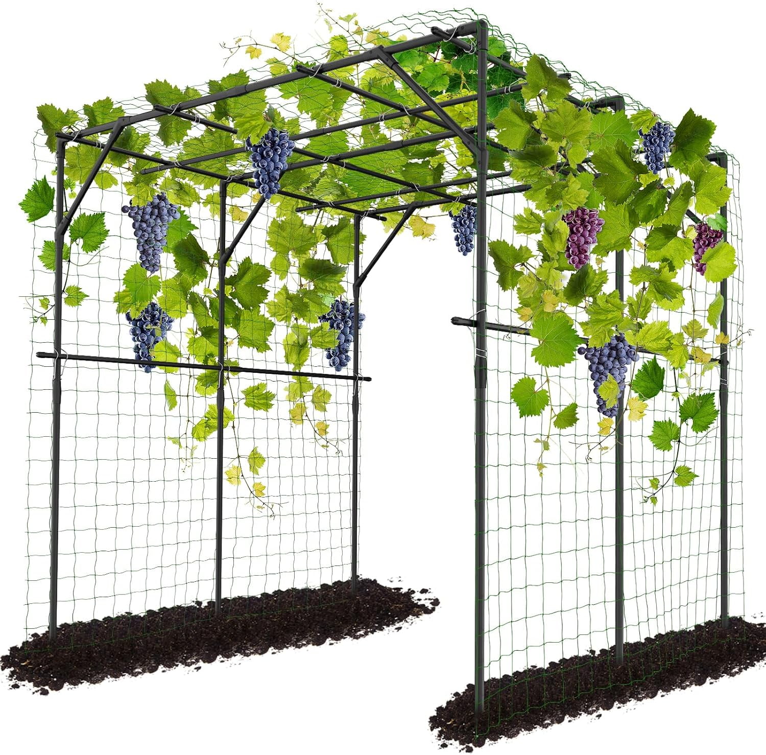 Tall Garden Arch Trellis for Climbing Plants, 79in Tall Metal Plant Support Trellis Archway for ...