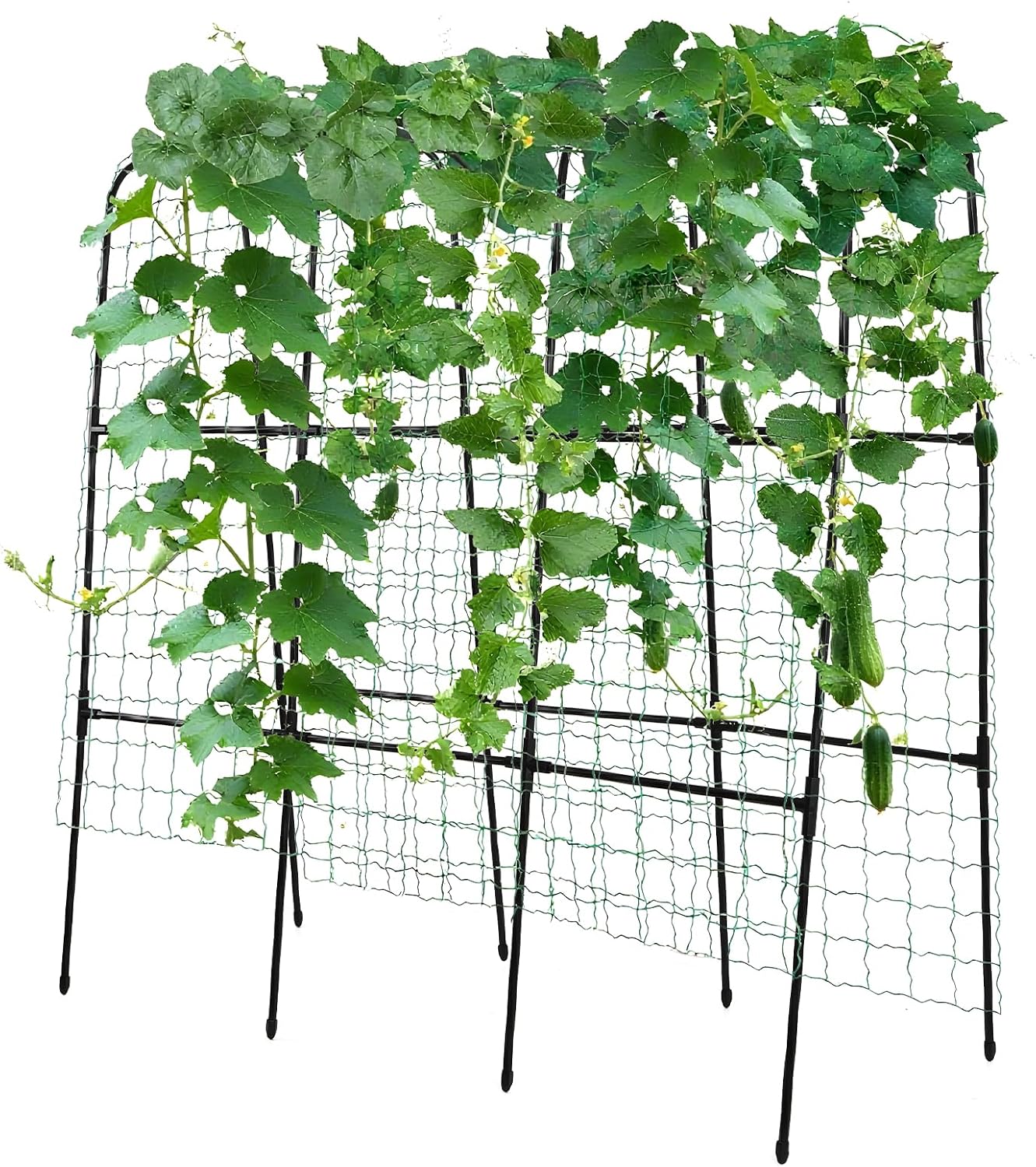 Tall Garden Arch Trellis for Climbing Plants Outdoor, 4 ft Tall ...