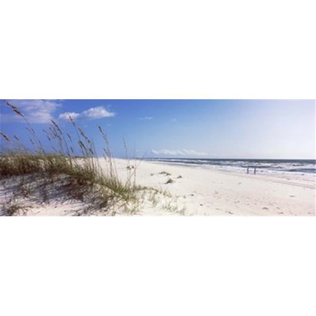 Tall Grass On The Beach Perdido Key Area Gulf Islands National Seashore ...