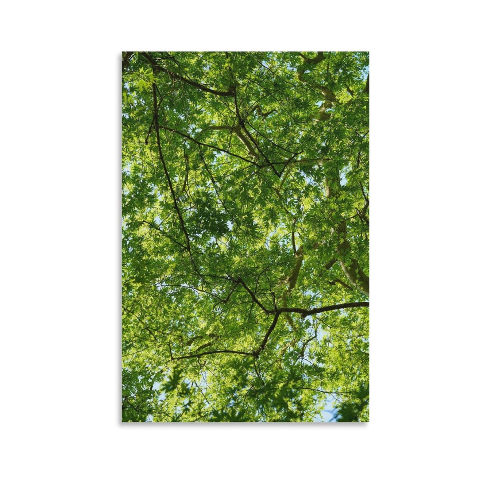 Tall Green Trees Poster Posters Art Print Wall Photo Paint Poster ...
