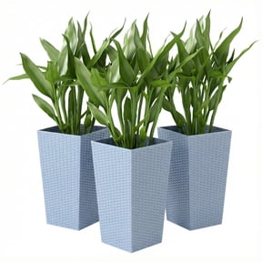Tall Rattan Planters