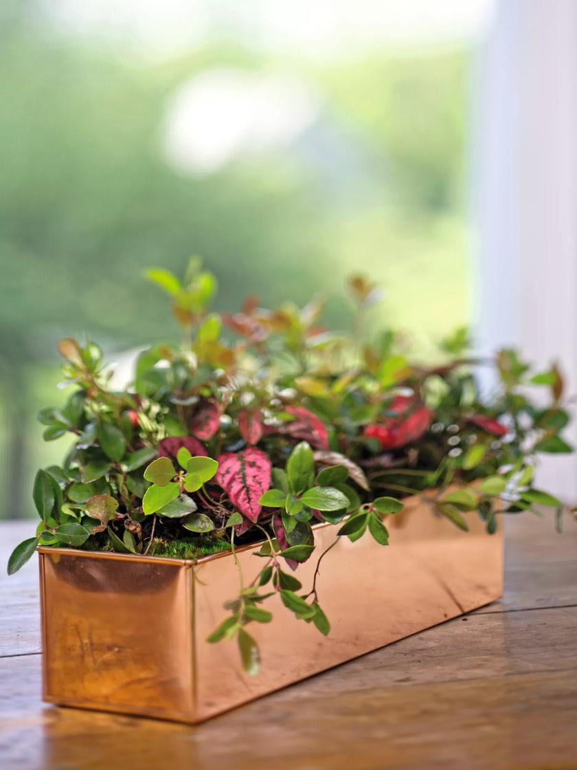 Tall Rectangular Copper Plant Tray 18in x 5in x 4in - Walmart.com